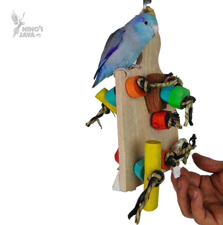 Nik Nak by Nino's Java – Tassie Bird and Poultry Supplies