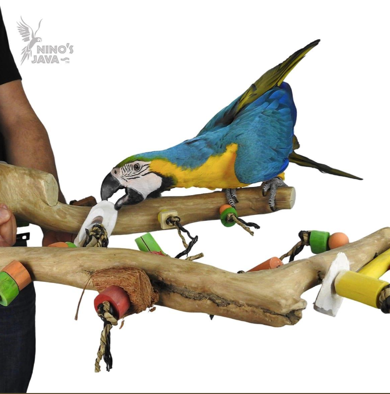 Multi Branch Large with Toys by Nino's Java – Tassie Bird and Poultry Supplies