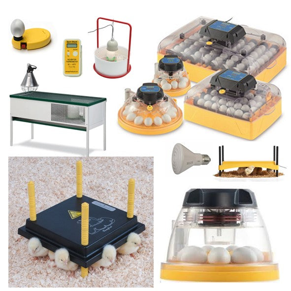 Incubation + Brooding Equipment – Tassie Bird and Poultry Supplies