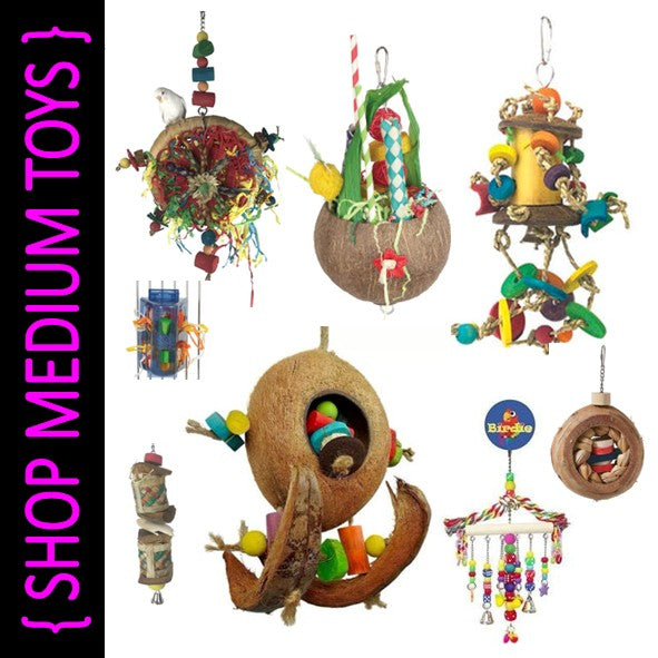 Medium Sized Toys – Tassie Bird and Poultry Supplies