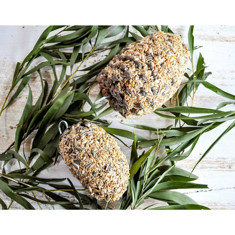 Forage Medium Bird Pine Cone Parrot Treat - NEW SIZE! – Tassie Bird and ...