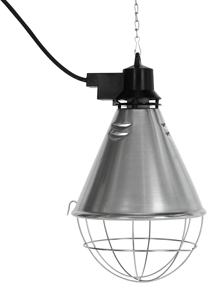 Brooder Lamp With Reflector – Tassie Bird and Poultry Supplies