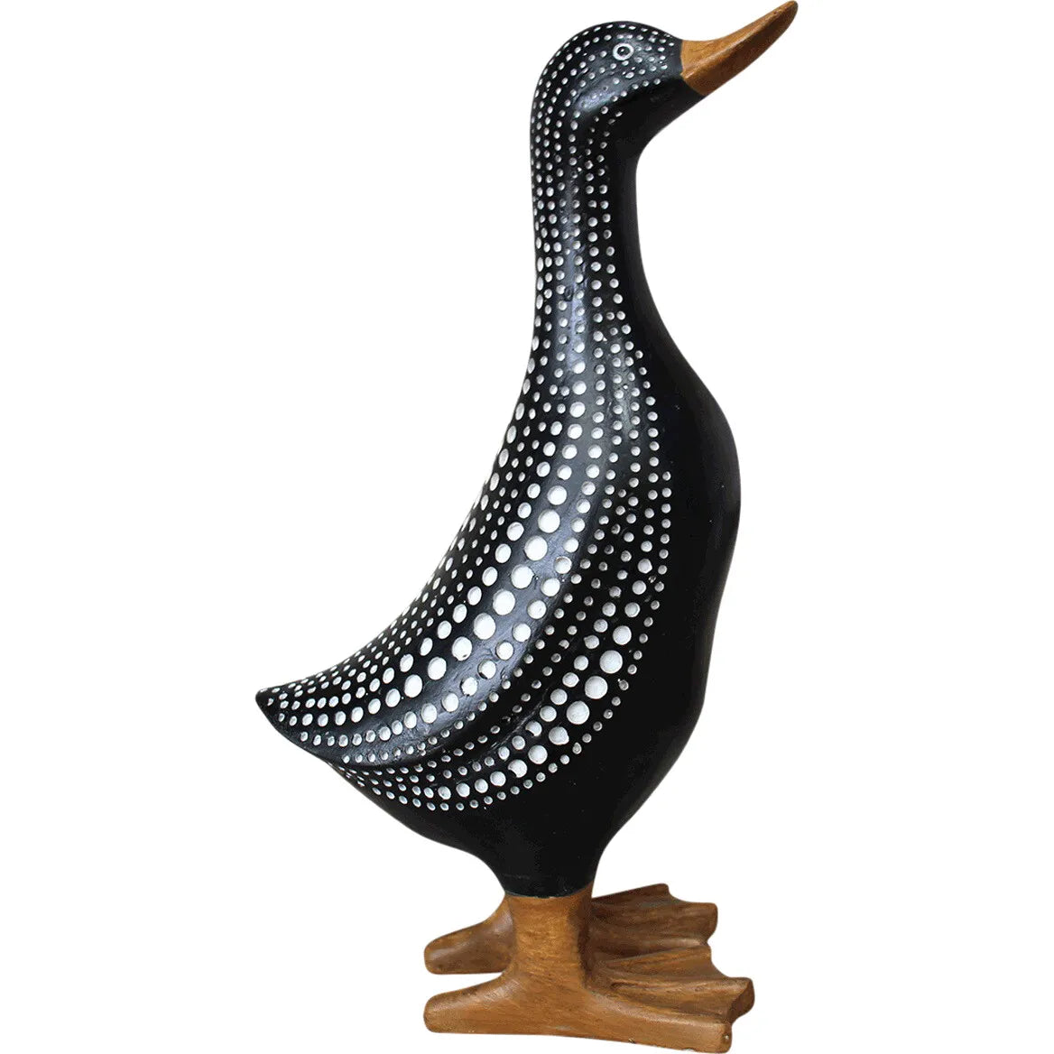 Duck White Dots – Tassie Bird and Poultry Supplies