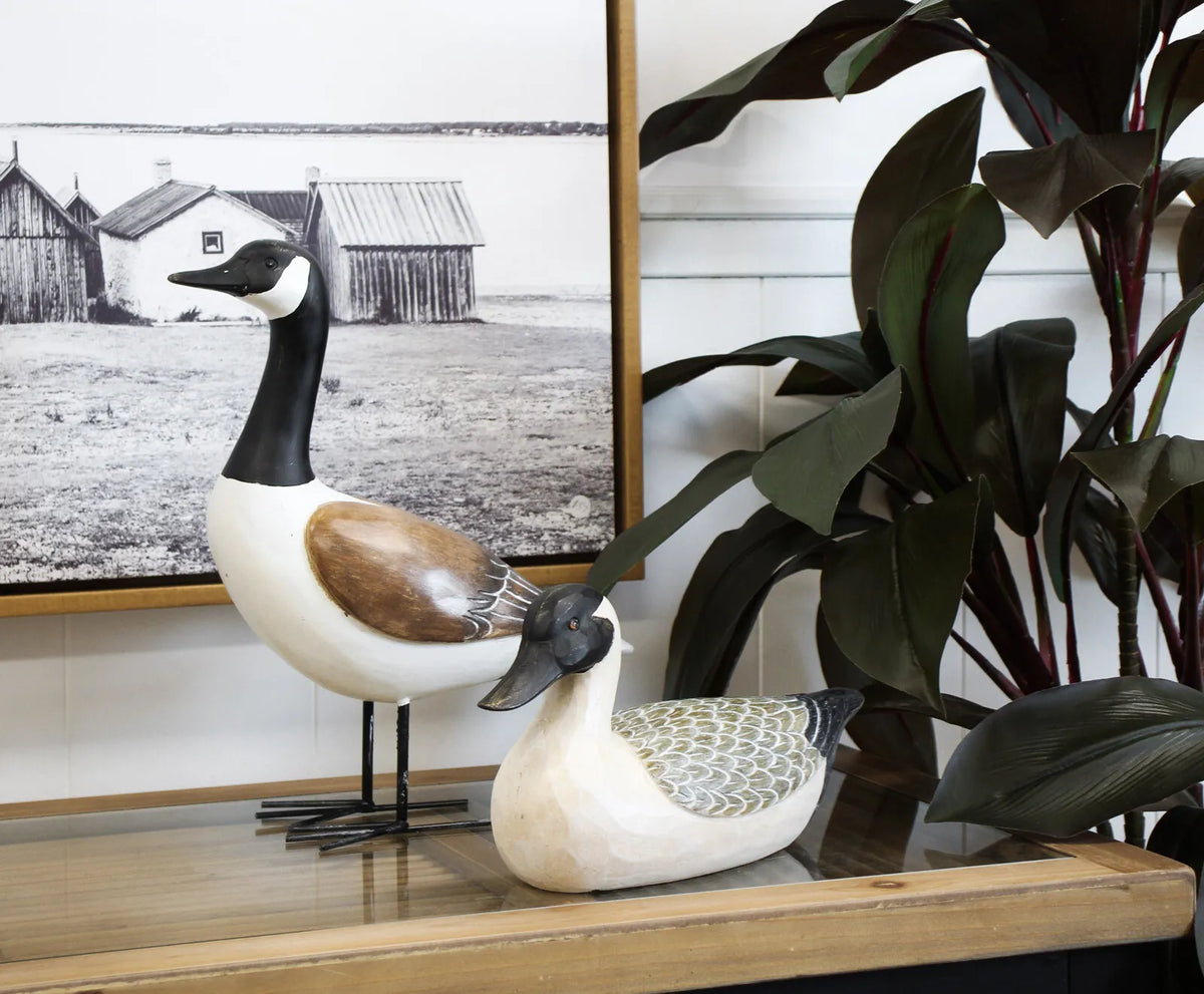 Standing Duck – Tassie Bird and Poultry Supplies