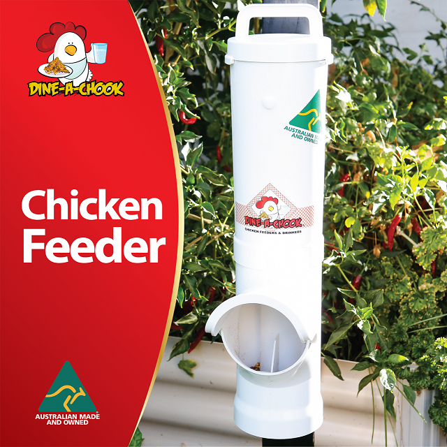 Dine a Chook 3.5lt Feeder – Tassie Bird and Poultry Supplies